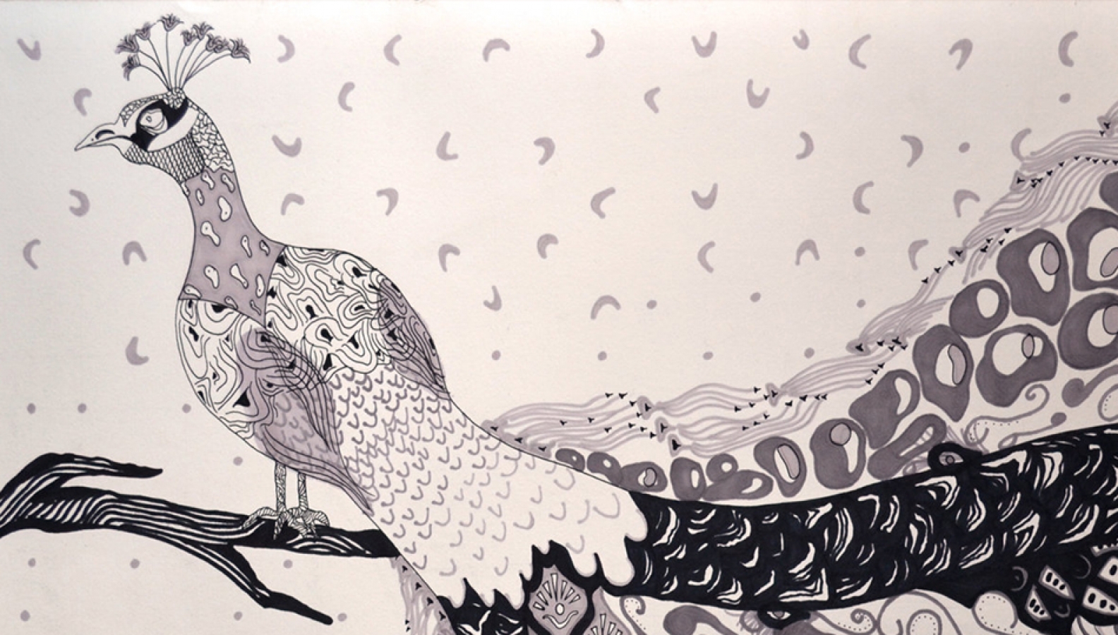 Album Of The Week: Recluse Raccoon by Recluse Raccoon - The Auricular